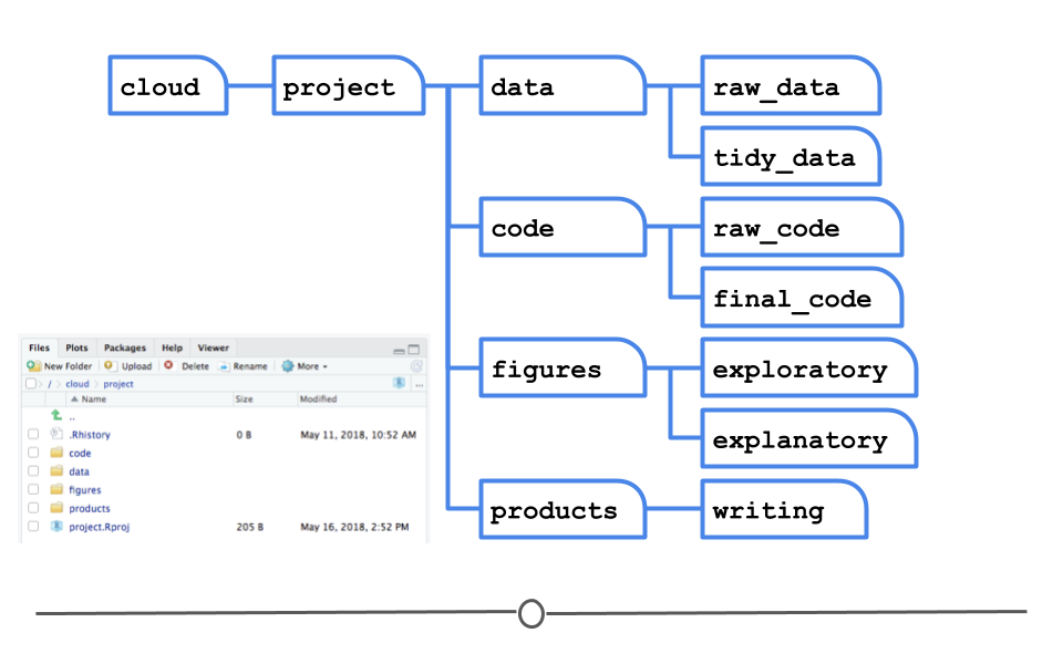 Bash for Beginners or How to Automate Folder Creation | Francisko de ...